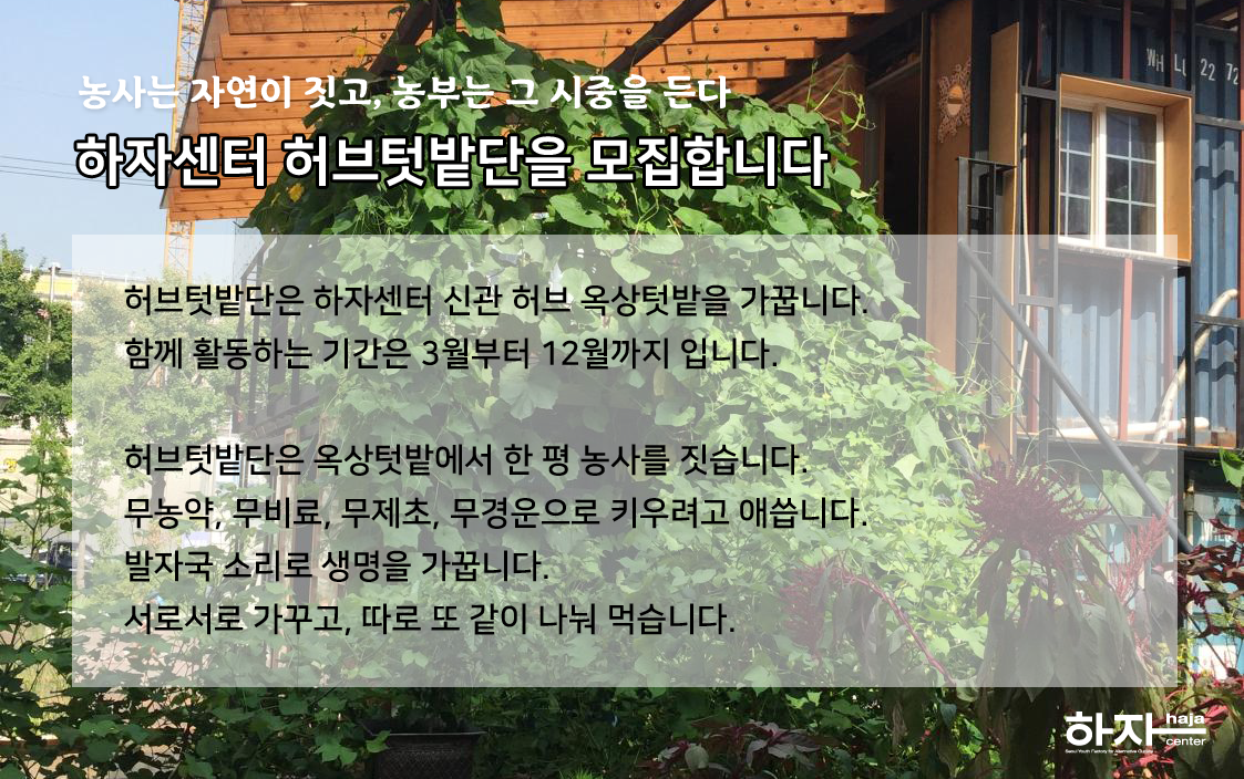 모집 하자 허브 텃밭단 프로그램 신청 현재 신청 및 참여 가능한 프로그램 안내 하자센터 시립청소년미래진로센터